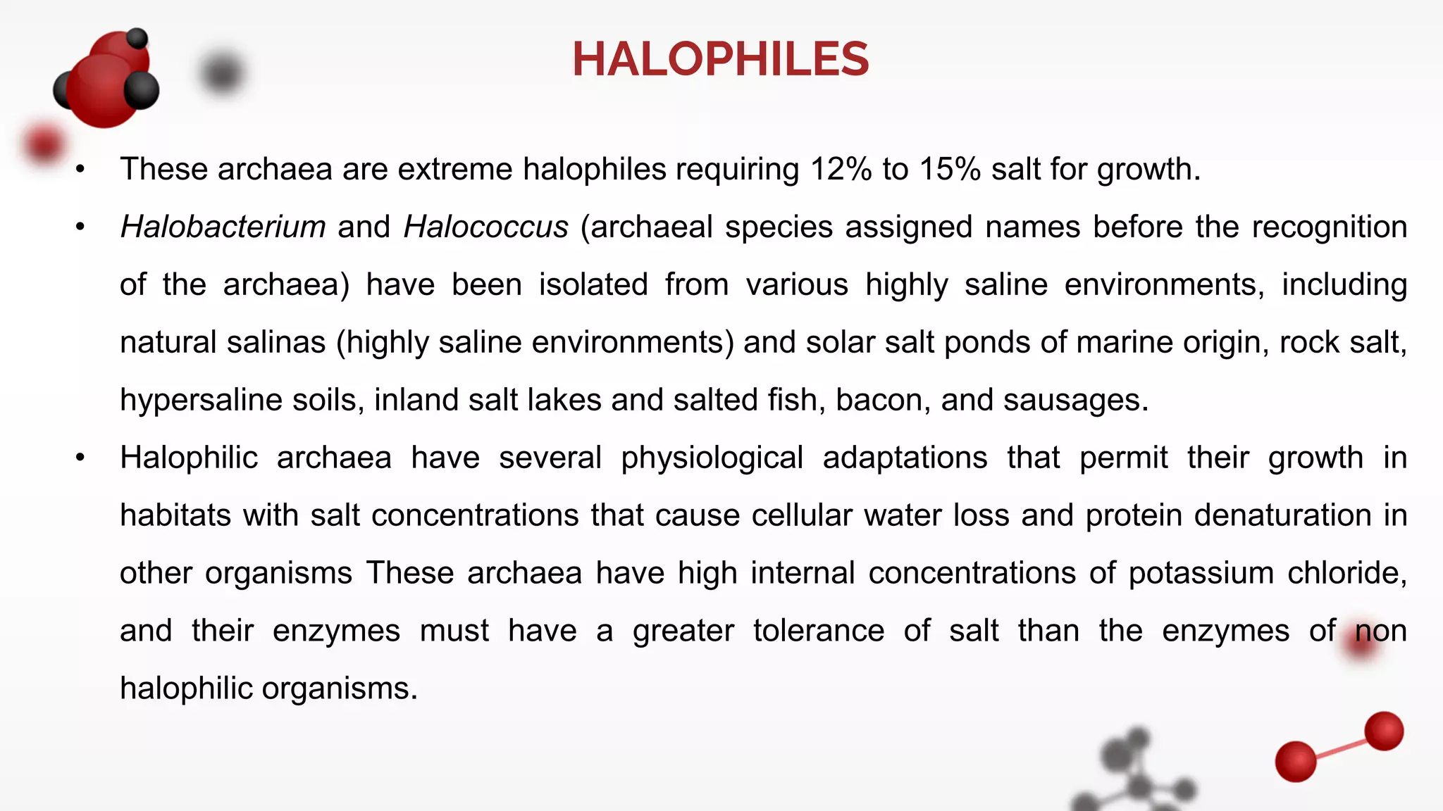 Archaea Bacteria (Methanogens, Halophiles, Thermophiles) | PDF