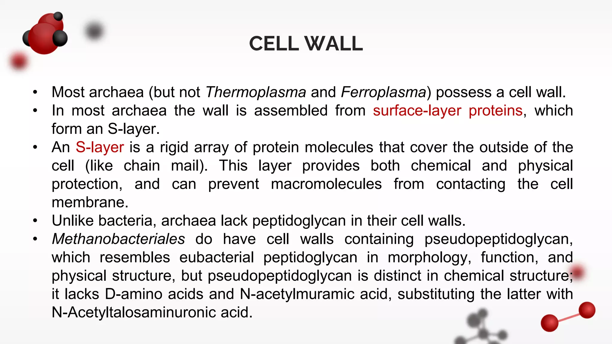 Archaea Bacteria (Methanogens, Halophiles, Thermophiles) | PDF