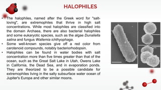 Archaea Bacteria (Methanogens, Halophiles, Thermophiles) | PDF