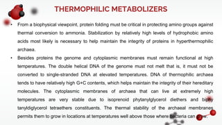 Archaea Bacteria (Methanogens, Halophiles, Thermophiles) | PDF