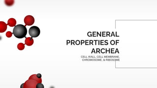 Archaea Bacteria (Methanogens, Halophiles, Thermophiles) | PDF