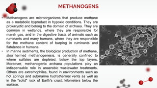 Methanogenic Archaea
