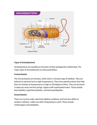 Archaea/ Archaebacteria (Characteristics, types, importance).docx
