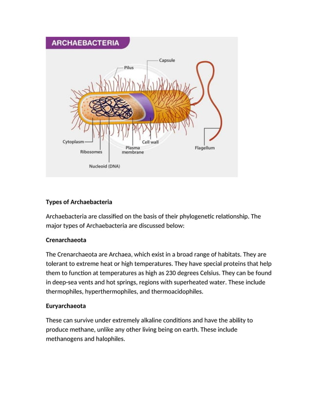 Archaea/ Archaebacteria (Characteristics, types, importance).docx
