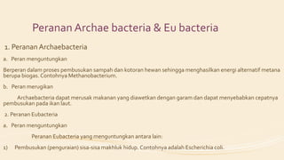 Archaea Bacteria & Eu Bacteria.pptx