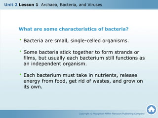Archaea Bacteria Viruses, Notes - Slides | PPT