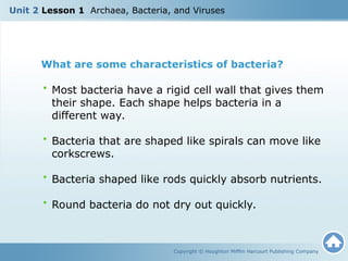 Archaea Bacteria Viruses, Notes - Slides | PPT