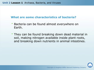 Archaea Bacteria Viruses, Notes - Slides | PPT