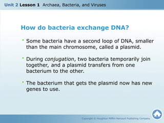 Archaea Bacteria Viruses, Notes - Slides | PPT
