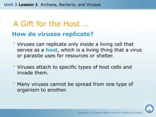 Archaea Bacteria Viruses, Notes - Slides | PPT