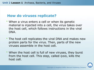 Archaea Bacteria Viruses, Notes - Slides | PPT