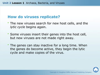 Archaea Bacteria Viruses, Notes - Slides | PPT