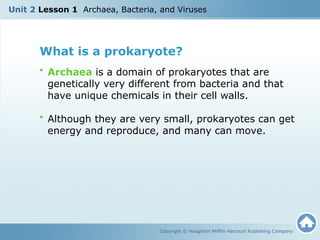Archaea Bacteria Viruses, Notes - Slides | PPT
