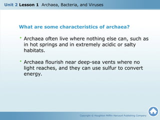 Archaea Bacteria Viruses, Notes - Slides | PPT