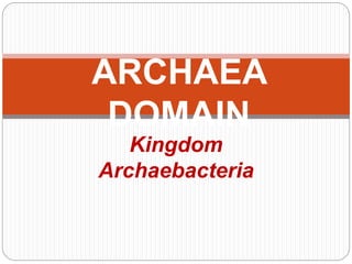 Archaea Domain