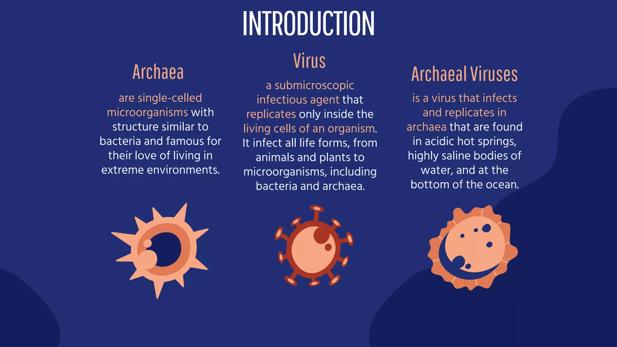 Archaeal Virus.pdf