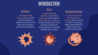 Archaeal Virus.pdf