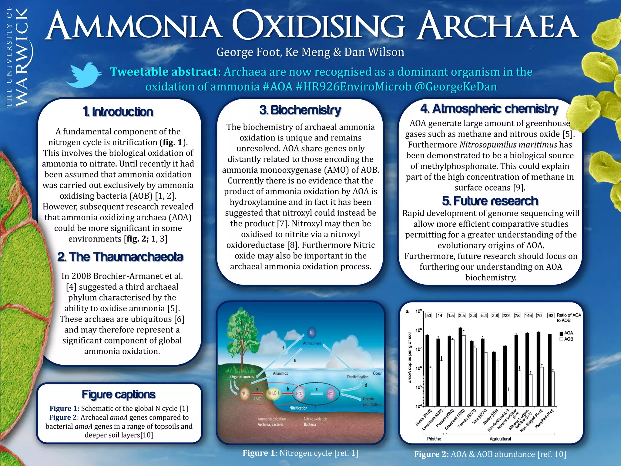 Ammonia Oxidising Archaea poster | PDF