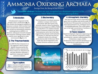 Ammonia Oxidising Archaea poster | PDF