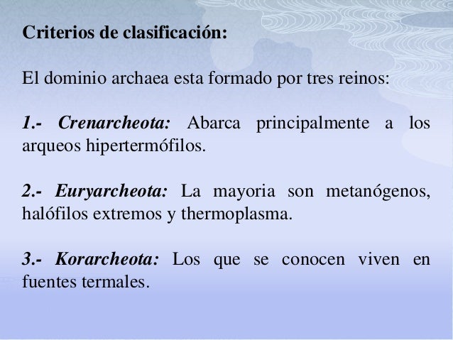 Caracteristicas Del Reino Archaea