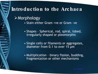 Archaebacteria | PPT