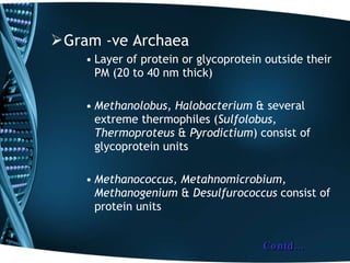 Archaebacteria | PPT