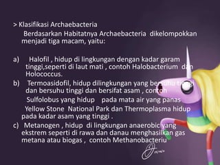 Archaebacteria | PPT
