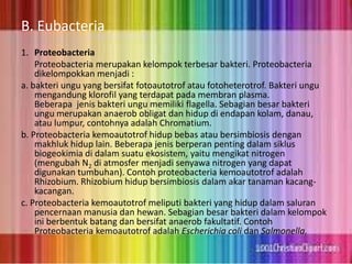 Archaebacteria | PPTX