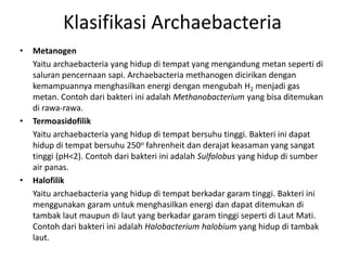 Archaebacteria | PPT