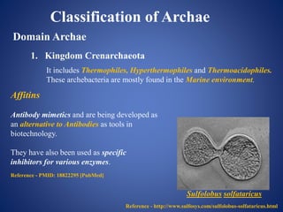 Archaebacteria. | PPTX