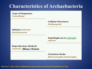 Archaebacteria. | PPTX
