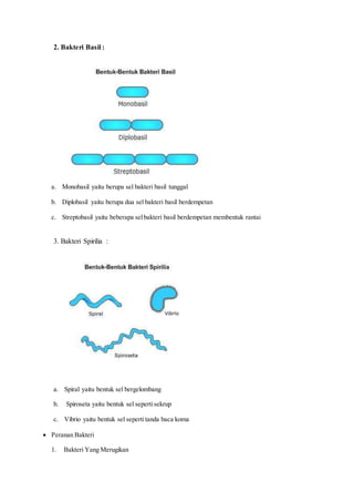 Archaebacteria | DOCX