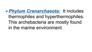 Archaebacteria | PPT