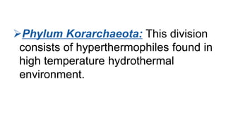 Archaebacteria | PPTX