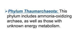 Archaebacteria | PPTX