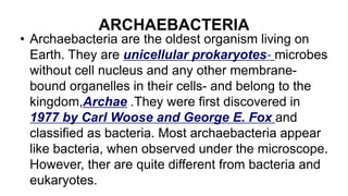Archaebacteria | PPT