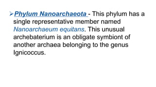Archaebacteria | PPTX