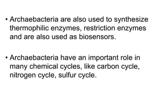Archaebacteria | PPT | Free Download