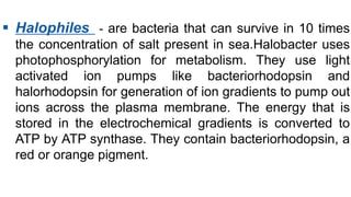 Archaebacteria | PPT