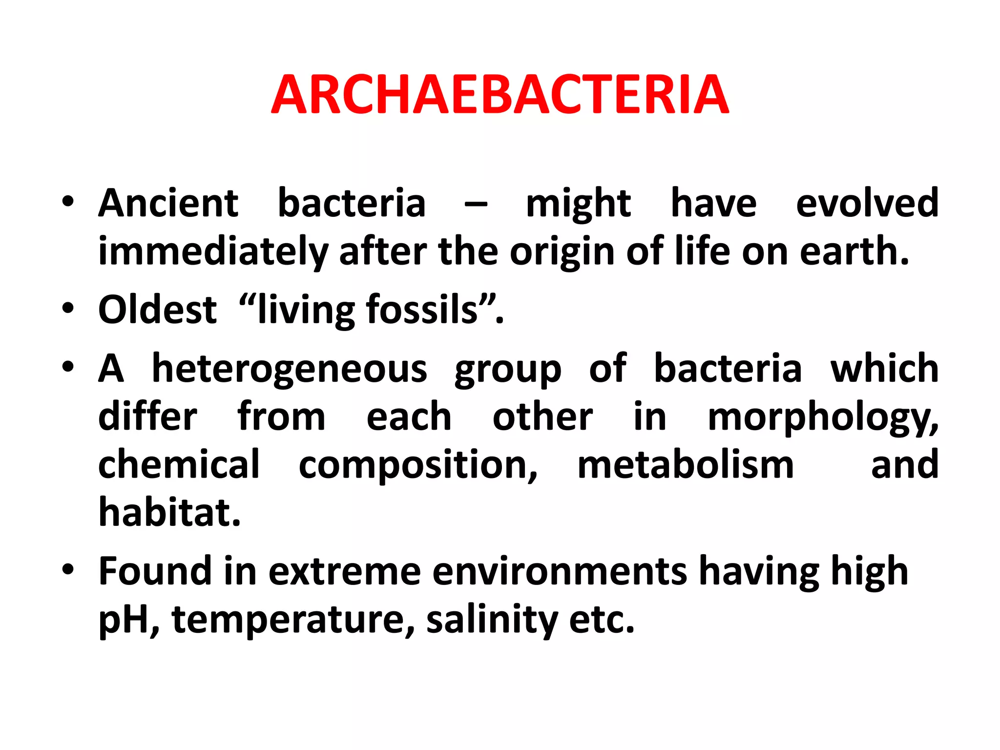 Archaebacteria SMG | PPT
