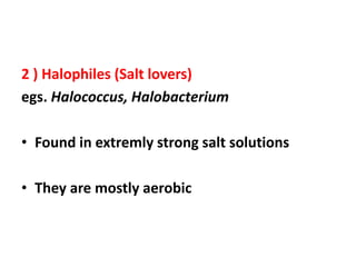 Archaebacteria SMG | PPTX