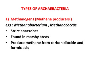 Types Of Archaebacteria