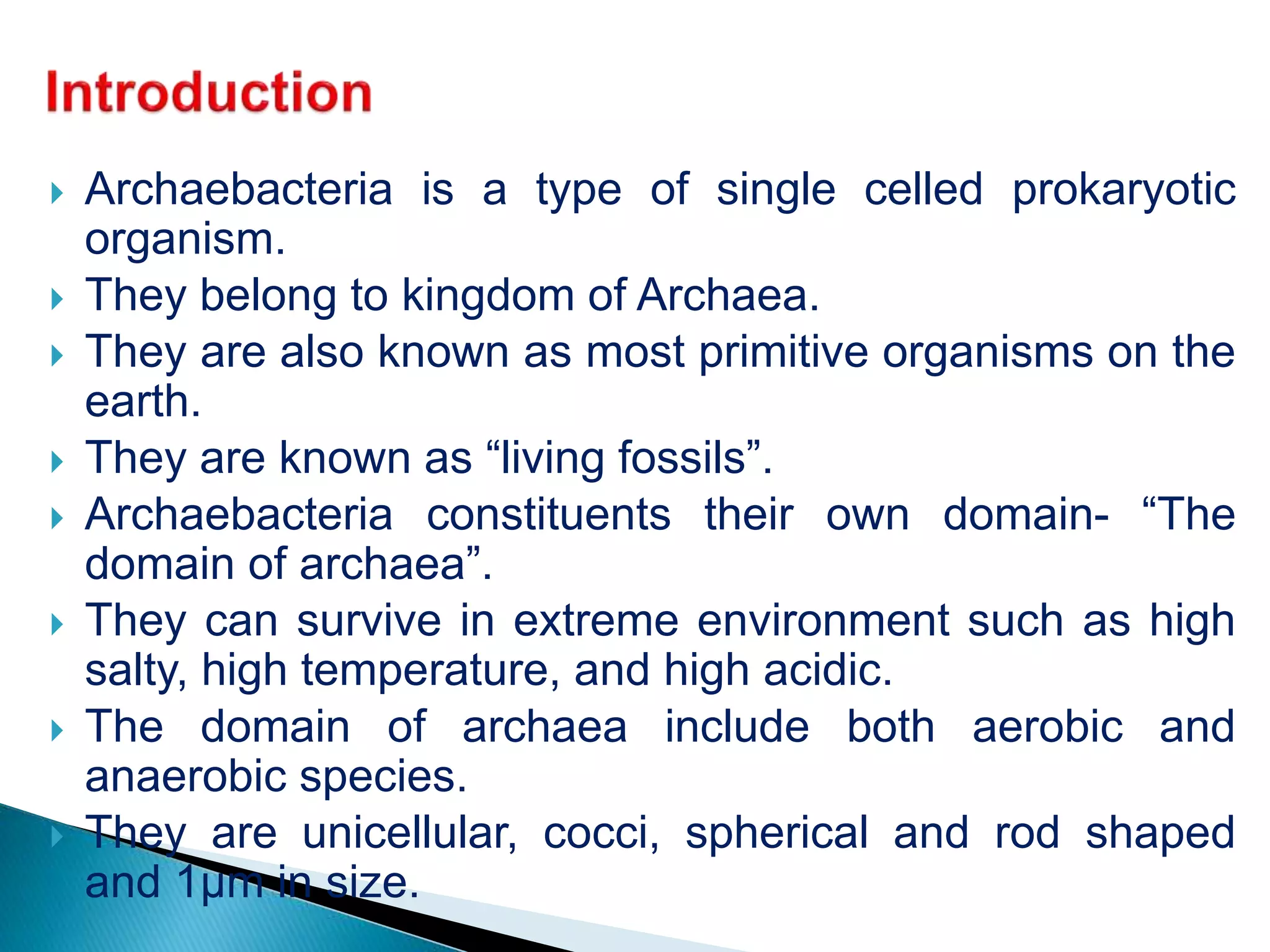 Archaebacteria | PPTX