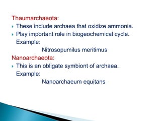 Archaebacteria | PPTX | Chemistry | Science