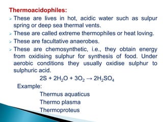 Archaebacteria | PPTX