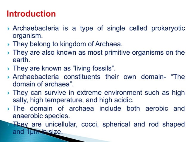 Archaebacteria | PPTX | Chemistry | Science