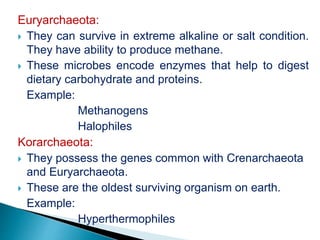 Archaebacteria | PPTX