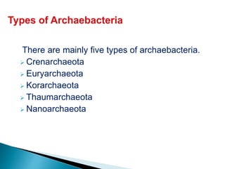 Types Of Archaebacteria