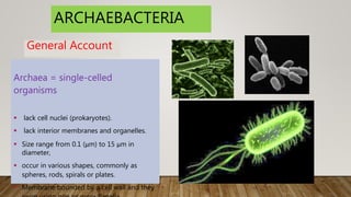 Kingdom Archaebacteria (Microbiology) | PPTX