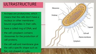 Kingdom Archaebacteria (Microbiology) | PPTX